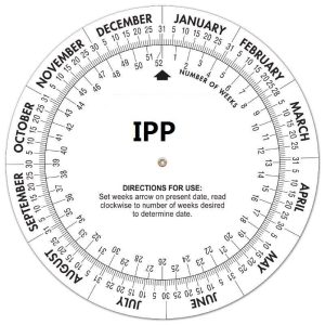 Scheduling Wheel Chart Calendar - Promo Items, giveaways with iPromotionPro
